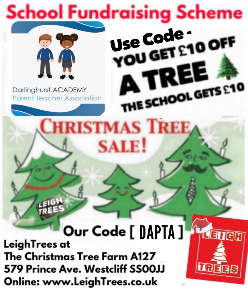 Darlinghurst Academy – Leigh Trees